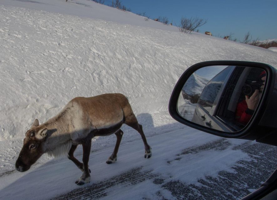 Tromsø: Fjords Tour - The Itinerary: A Closer Look