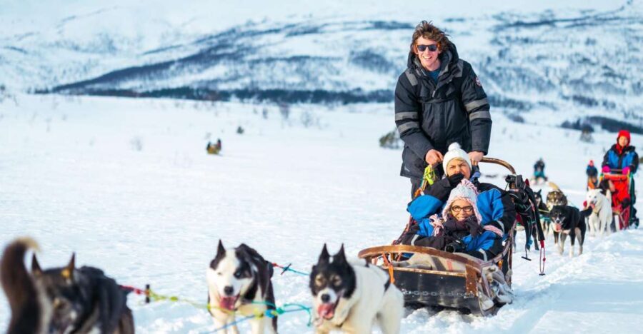 Tromsø: Guided Husky Sledding with Traditional Lunch - What to Expect from the Experience