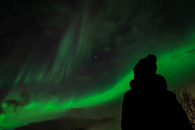 Tromsø: Northern Lights by Minibus - Free Photos and Warm Dinner - Why This Tour Offers Great Value