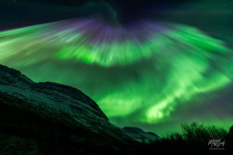 Tromsø: Northern Lights Chase with Expert Guides & Photos - The Itinerary in Detail