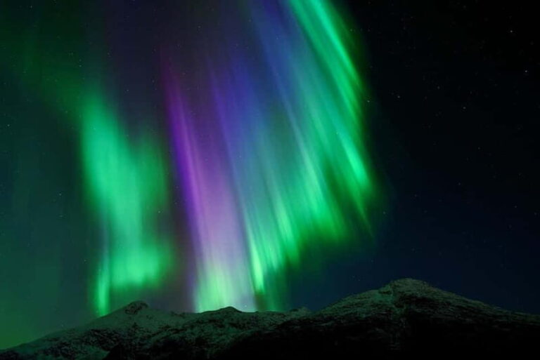 Tromsø: Northern Lights Chase with Local Guide & Free Photos - FAQs