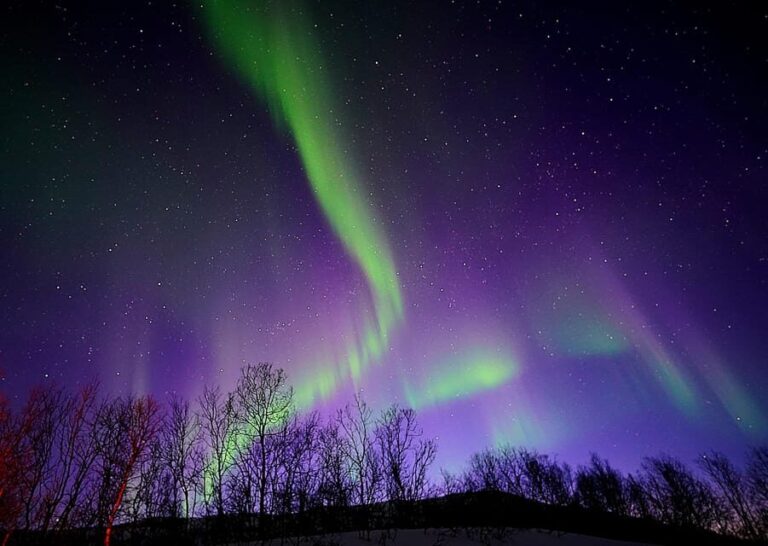 Tromso: Northern Lights Minibus Tour with Campfire - The Magic of the Campfire Experience