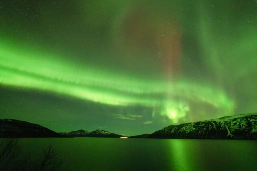 Tromsø: Northern Lights Minibus Tour with Local Experts - What to Expect on the Tour