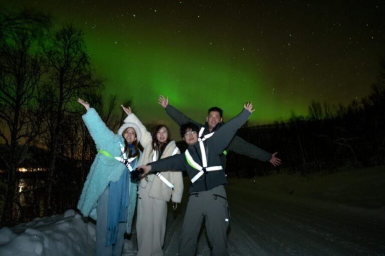 Tromsø: Northern Lights Tour with Local Guide and Photos - Who Is This Tour Best For?