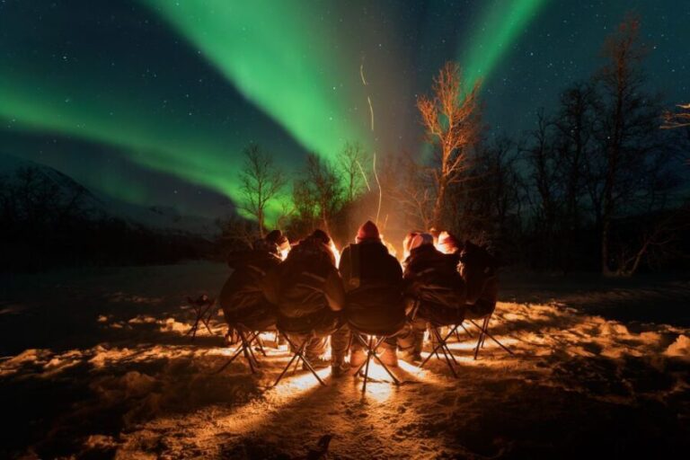 Tromsø: Northern Lights Trip with Campfire and Snacks - What Sets This Tour Apart