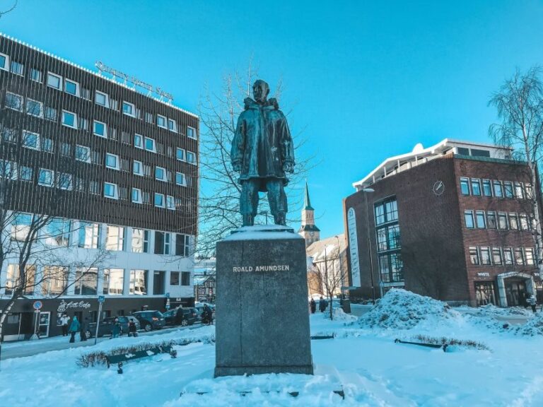 Tromsø: Private City Tour - What to Expect on Your Tromsø Private City Tour