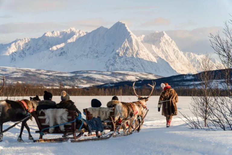Tromsø: Sámi Reindeer Sledding and Sami Cultural Tour - Why This Tour Offers Great Value