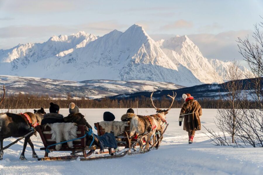Tromsø: Sámi Reindeer Sledding and Sami Cultural Tour - Why This Tour Offers Great Value