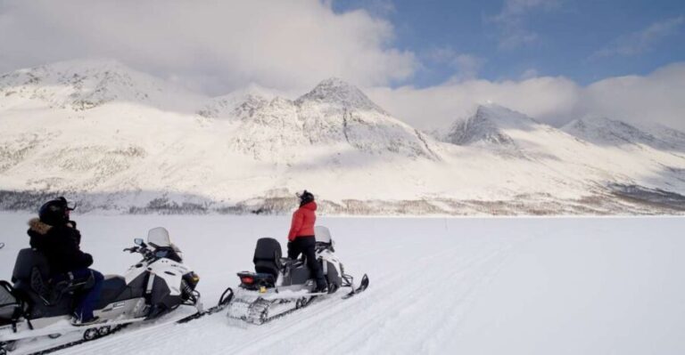 Tromsø: Scenic Arctic snowmobile safari in the Lyngen Alps - Why This Tour Offers Great Value