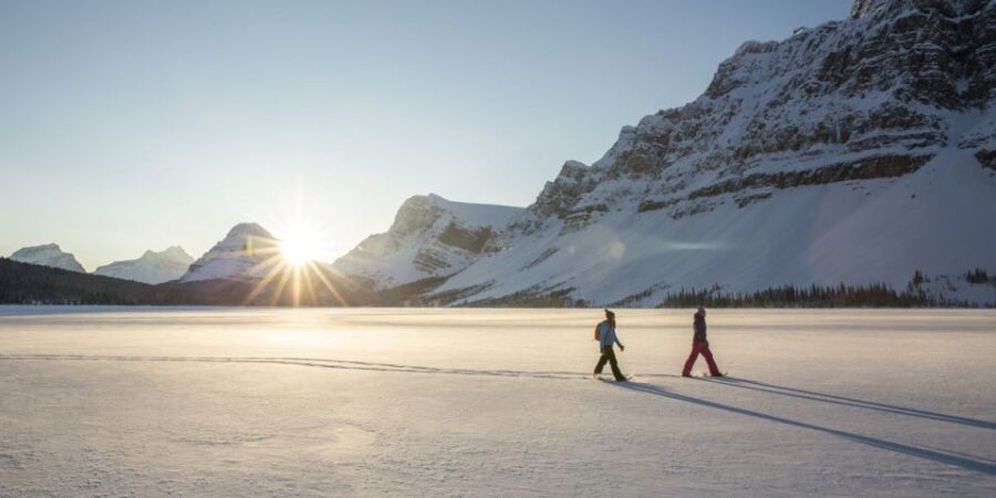 Tromso: Scenic & Eco-Friendly Snowshoeing Tour - Who Will Love This Tour?