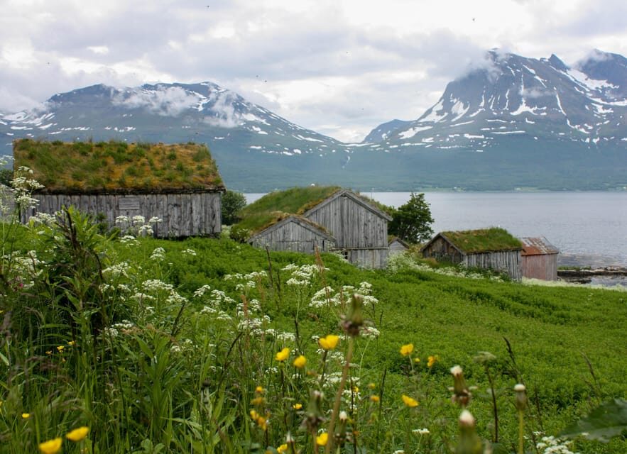 Tromsø: Small group Fjord Adventure, by Local - Who Should Consider This Tour?