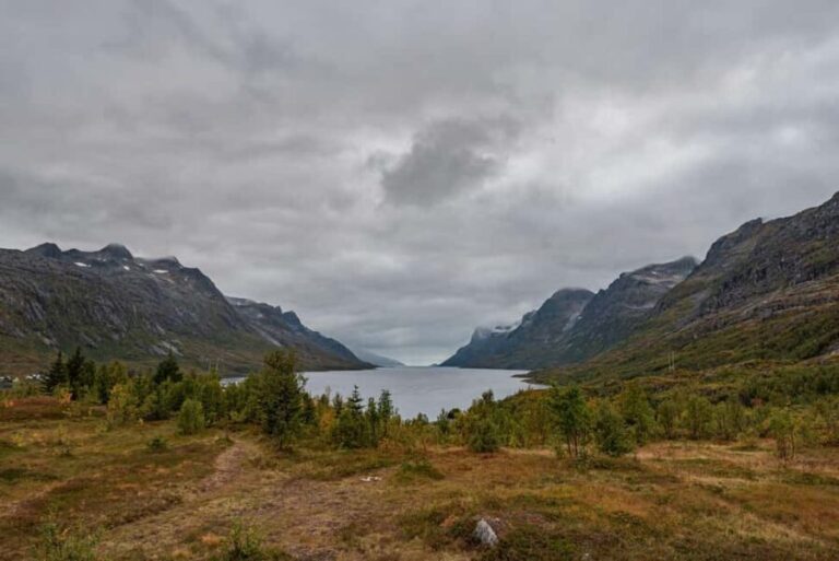 Tromsø: Small Group Kvaløya & Sommarøy Fjord Tour with Lunch - FAQ
