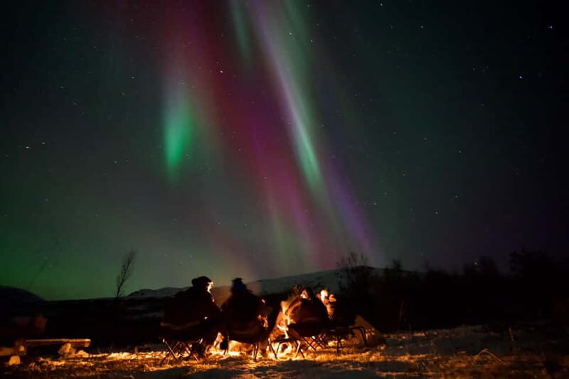 Tromsø: Small-Group Northern Lights Tour by Minibus - What Makes This Tour Stand Out