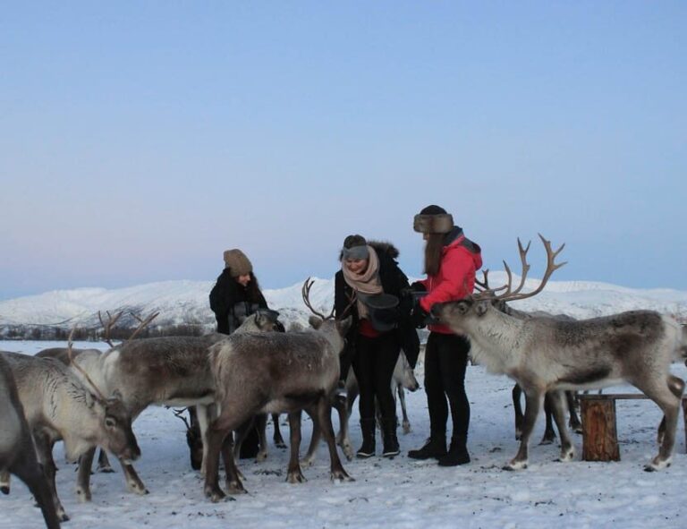 Tromsø: Snowshoeing Tour & Reindeer Encounter with Lunch - The Value of This Tour