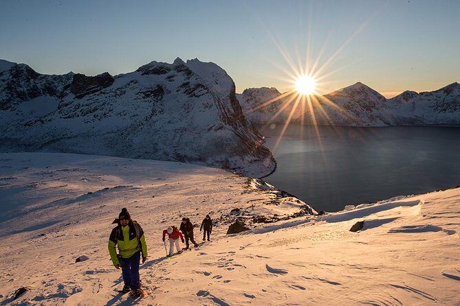 Tromso Snowshoeing - Valley, Fjord Views, Wildlife, Meal & Pickup - Why This Tour Offers Great Value