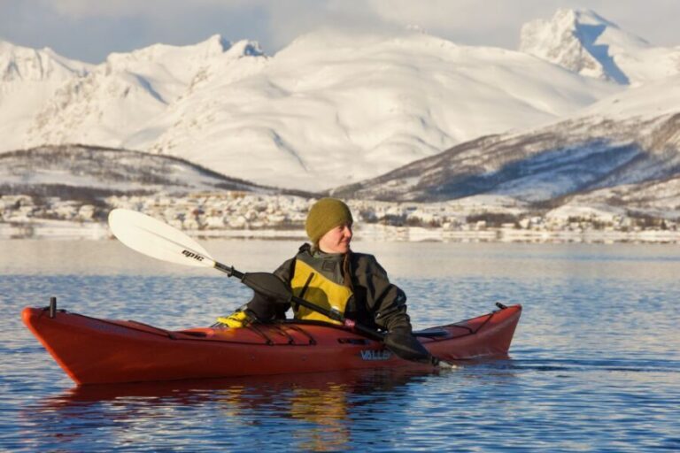 Tromsø: Winter Sea Kayaking Tour with Wildlife Sightings - The Authenticity of the Reviews