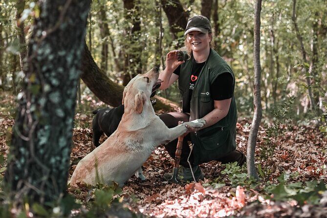 Truffle hunting & cooking tour - Who Should Consider This Tour?