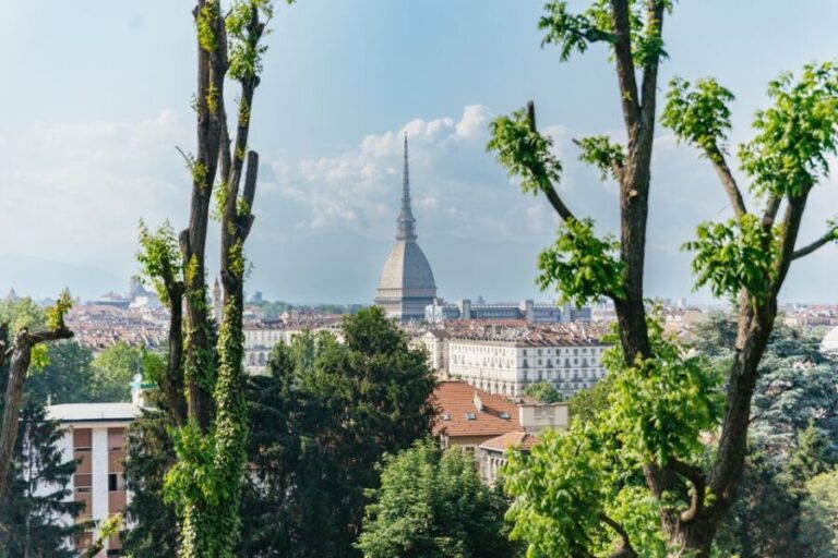 Turin: Hop-on Hop-off Bus Tour with 24 or 48-Hour Ticket - Practical Details and Travel Experience