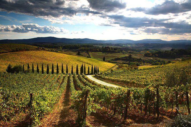 Tuscany Hiking Tour from Siena Including Wine Tasting - The Value Proposition & Who Will Love It