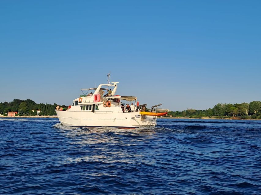 Umag: Sunset Cruise with Dolphin Spotting - Who Will Love This Tour?