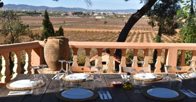 Valencia: Utiel-Requena Cave & Winery Day Trip with Tasting - What Makes This Tour Stand Out?