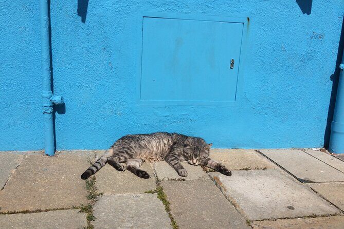 Venice: Murano & Burano Islands Tour with Optional Torcello Stop - Potential Drawbacks to Consider