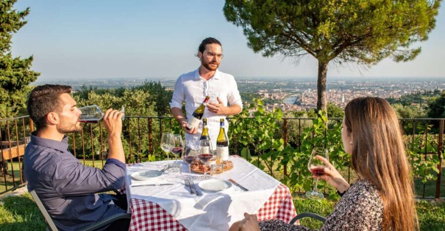 Verona: Wine Tasting with Snacks and Panoramic Views - Who Will Love This Tour?