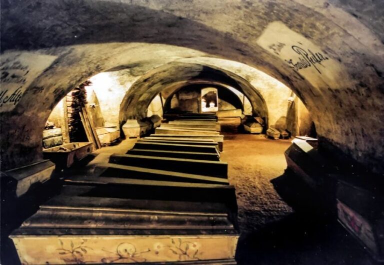 Vienna: 1.5-Hour Underground Walking Tour - Why This Tour Is Worth Considering