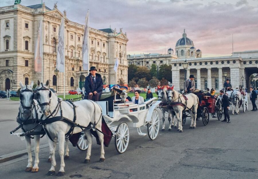 Vienna: 30-Minute Fiaker Ride in the Old Town - Starting Point and Accessibility