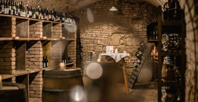 Vienna: Hidden Wine Cellars Tasting Experience - Practical Details and Tips