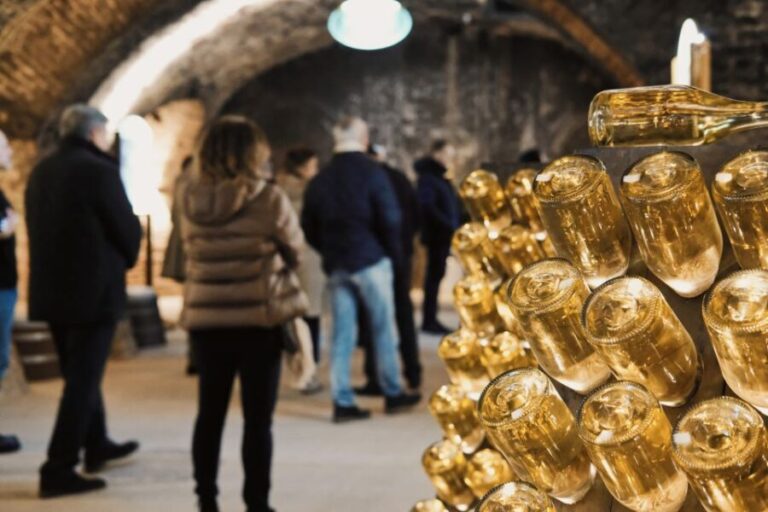 Vienna: Schlumberger Wine Cellar Guided or Self-Guided Tour - Who Would Love This Tour?