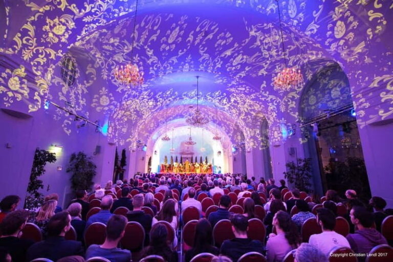 Vienna: Schönbrunn Palace Evening Tour, Dinner and Concert - The Austrian Dinner Experience