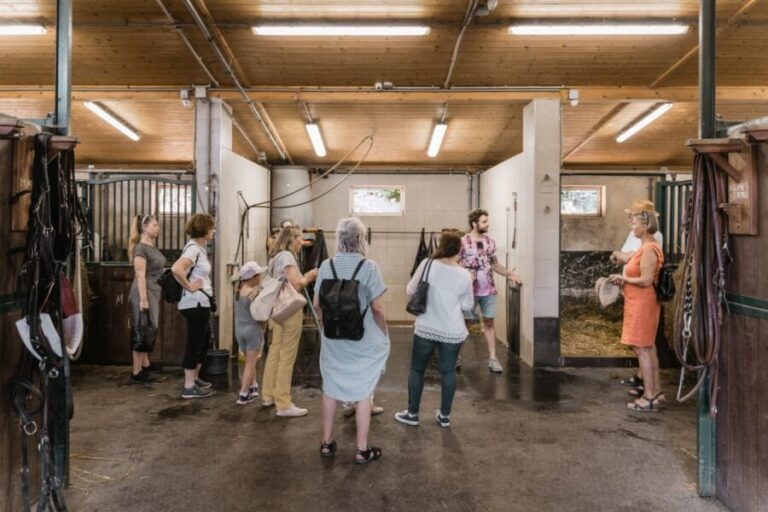 Vienna: Secrets of the Fiaker & Horse-Drawn Carriage Ride - Who Should Consider This Tour?