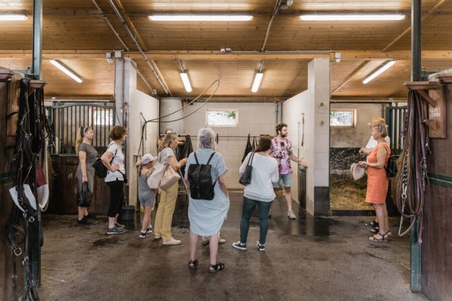 Vienna: Secrets of the Fiaker & Horse-Drawn Carriage Ride - Who Should Consider This Tour?