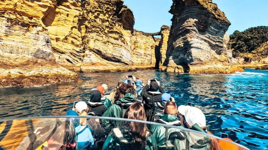 Vila Franca Islet: Bioligist Guided 0% Carbon e-Boat Tour - The Value of the Experience