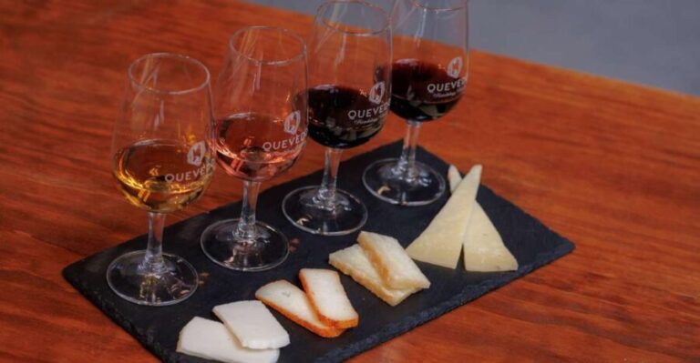 Vila Nova de Gaia: Port Wine Tasting with Cheese Pairing - Key Points
