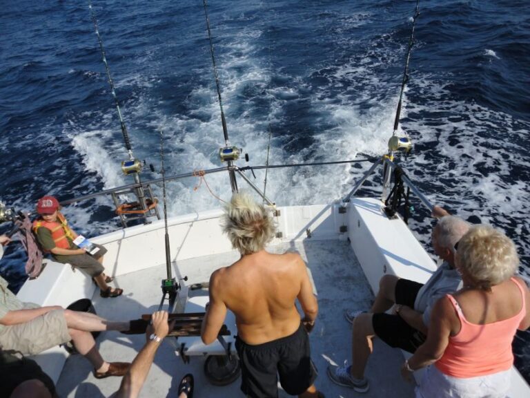 Vilamoura: Algarve Reef Fishing Boat Trip with Gear Included - The Pros and Cons: A Practical Summary