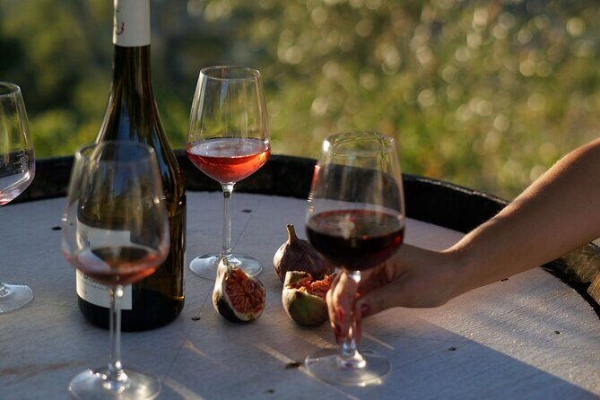 Vineyard Tour with Wine Tasting within Nice city borders - Detailed Breakdown of the Itinerary