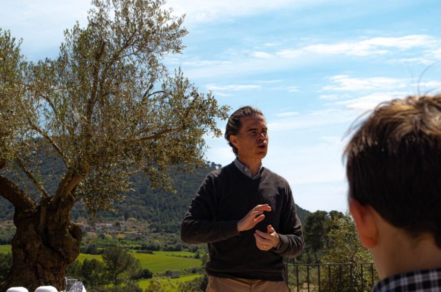 Visit of the olive grove, olive oil tasting and snack - The Full Lowdown on the Olive Oil Tour in Mallorca