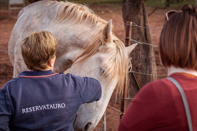 Visita Entre Toros y Caballos - What Do Reviewers Love Most?