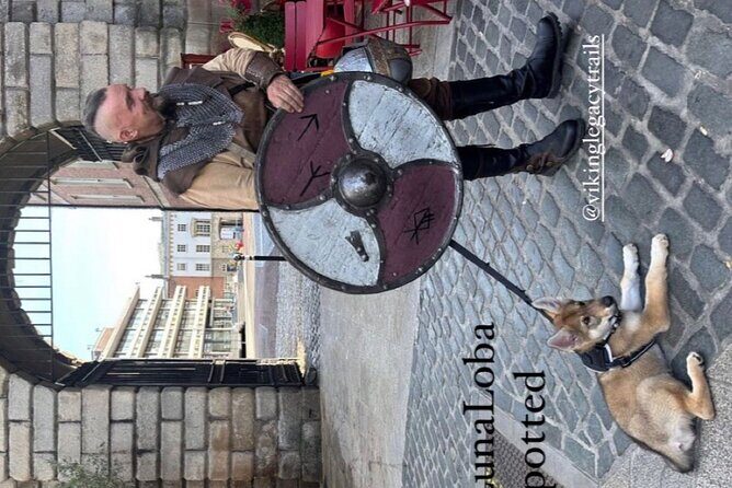 Walking Tour of Dublins Viking/Medieval Quarter with a Viking - Who Would Love This Tour?