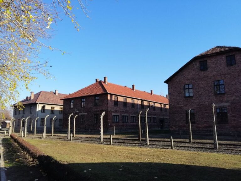 Warsaw: Tour to Krakow and Auschwitz by Train with Pickup - The Auschwitz and Birkenau Experience: The Core of the Day