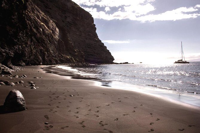 Whale Watching and Listening Eco Catamaran Tour with Food Tasting - What We Love About This Tour