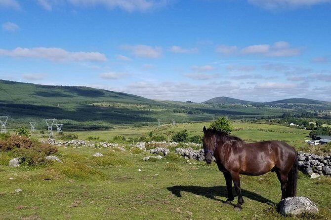 Wicklow Mountains Horse Trekking - The Value of This Experience