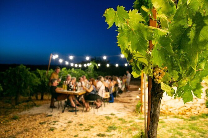 Wine Experience: vineyard, wines and food - Why This Tour Works Well