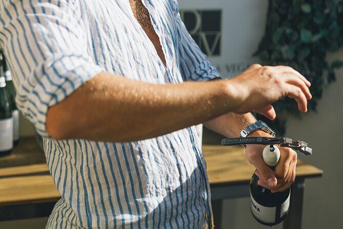 Wine Tasting Experience with a Professional Sommelier in Valencia City Center - Final Thoughts