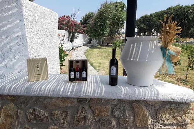 Wine Tasting Tour at a traditional farm in Mykonos - The Wines and Snacks: What Makes Them Special?