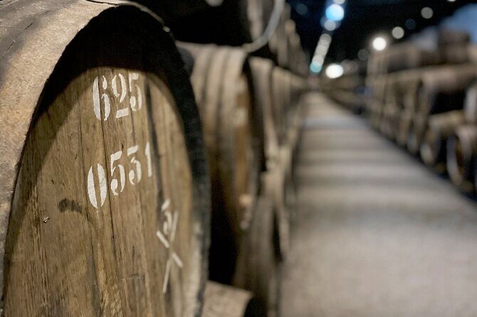 Wine Tasting with Tapas Walking Tour in Porto - What to Expect: The Practical Details