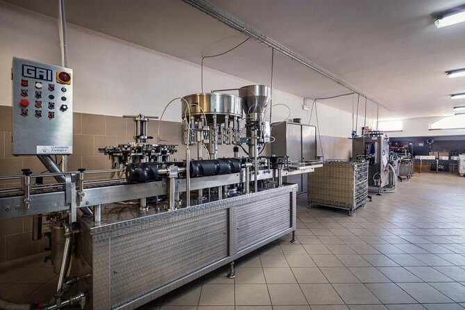 Winemaker for a Day: Tour an Organic Winery - Who Will Enjoy This Experience?