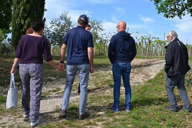 Winery Tour and Tasting of Garda Wines in Lazise - Who Is This Tour Best For?